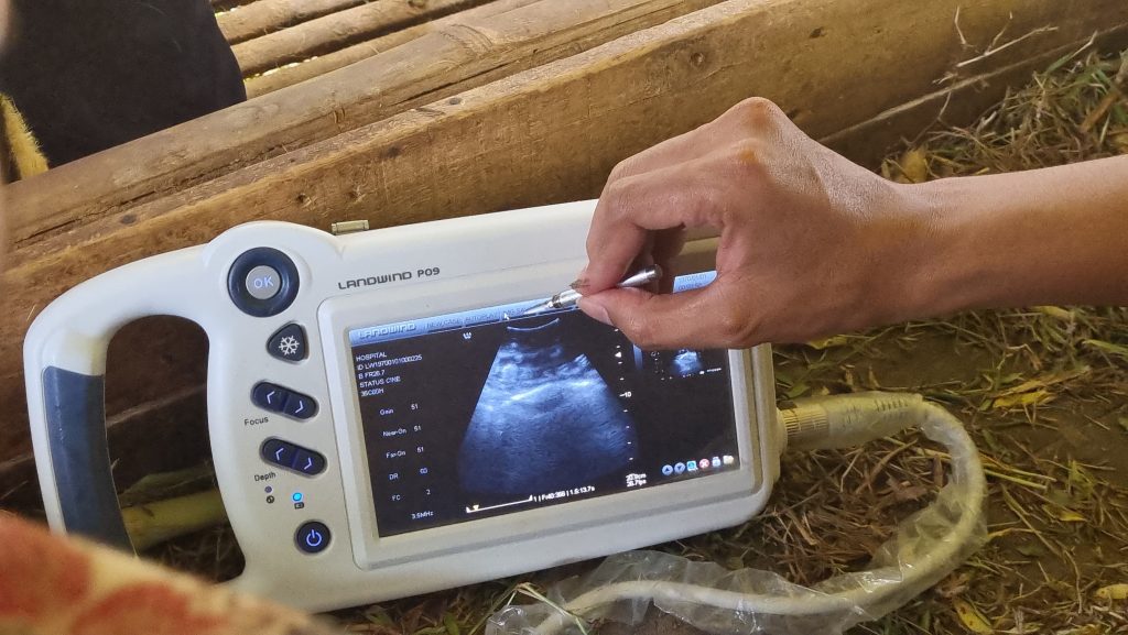 Peningkatan Keahlian Mahasiswa Program Studi Teknologi Veteriner Sekolah Vokasi UGM melalui ...